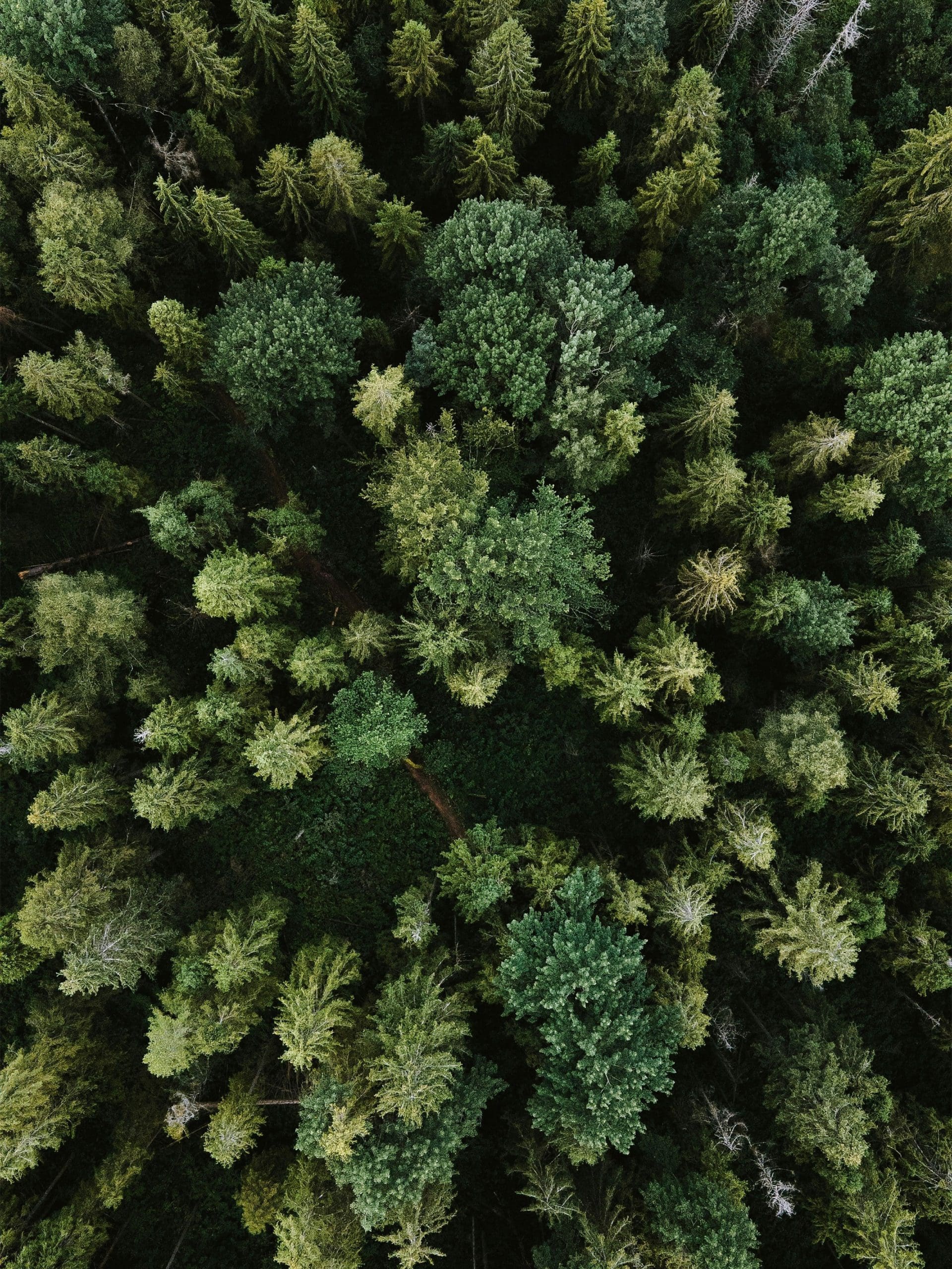 Chakra System | Anahata Therapies